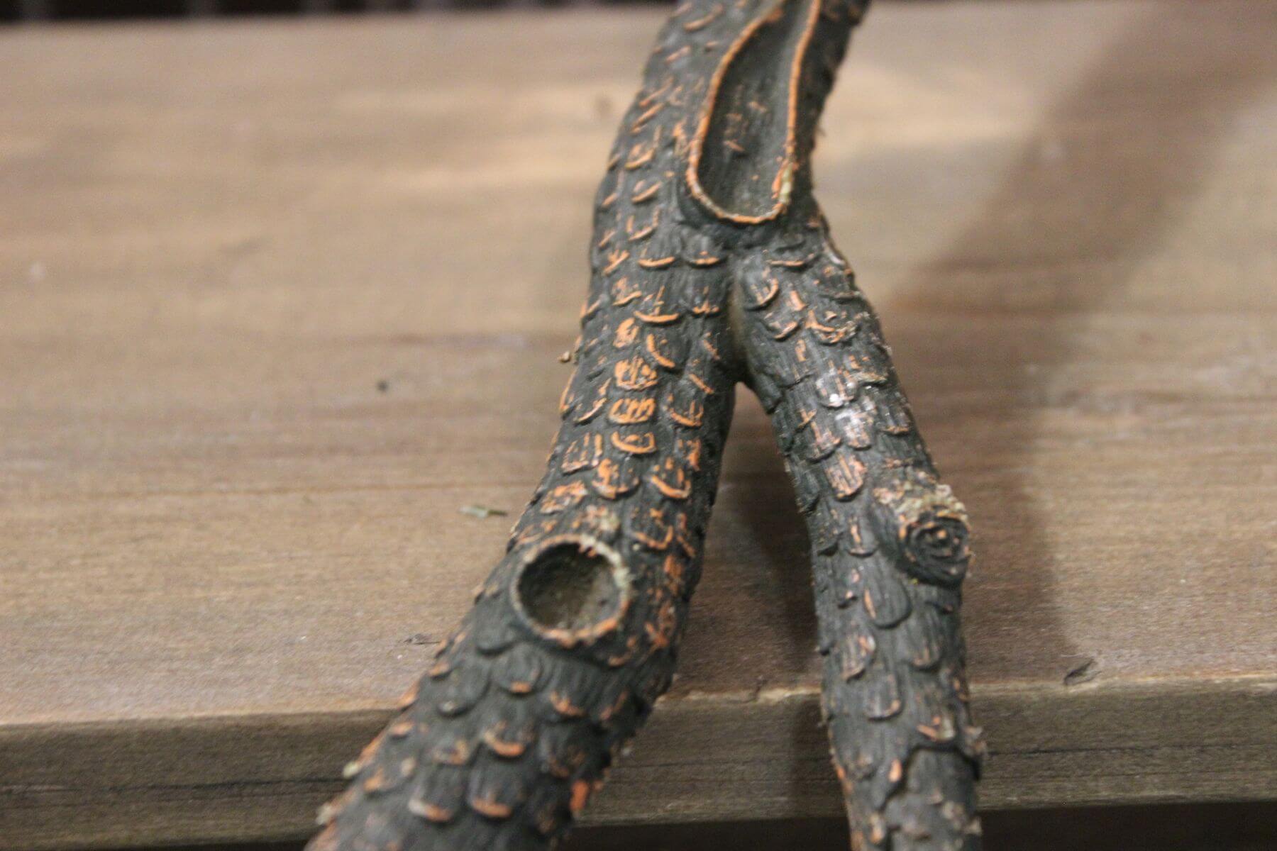 Zelená borovicová haluz 85cm | Ewalds.sk